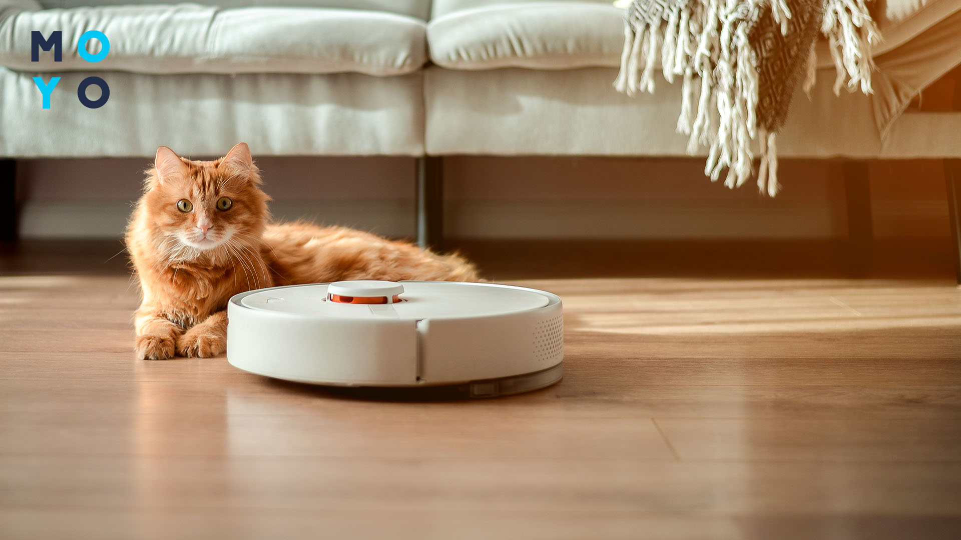 ЯК ВИБРАТИ РОБОТ-ПИЛЕСОС — 10 головних параметрів